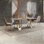 Platinum Dining table - Shopps.In